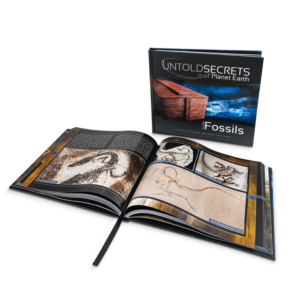 MCRL_Hardcover_V4 - MCRL Overseas Group